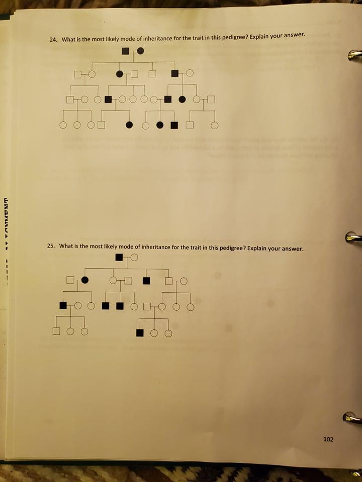 Solved Name: Lab Section: GTA: Discussion: Solving Genetics | Chegg.com