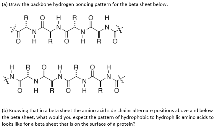 Solved (a) Draw the backbone hydrogen bonding pattern for | Chegg.com