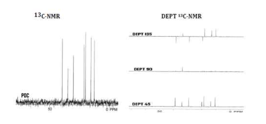 Solved The following 13C- and DEPT 13C-NMR spectra belong to | Chegg.com
