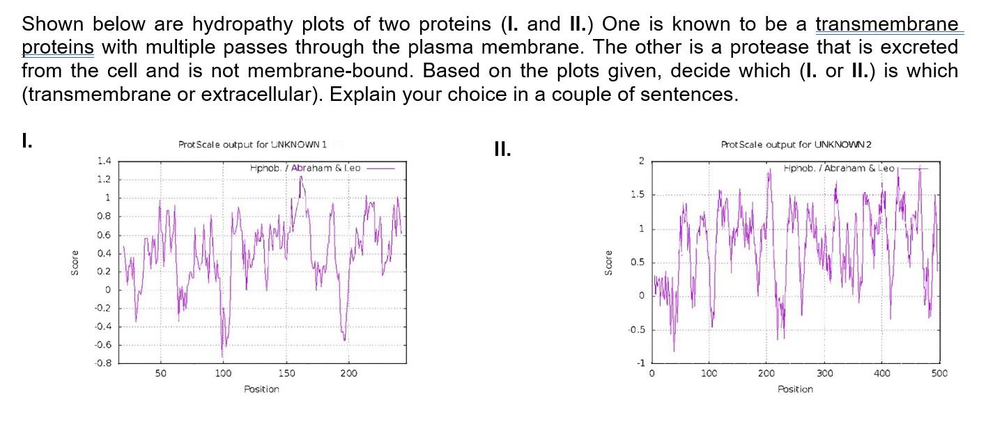 Solved Shown below are hydropathy plots of two proteins (I. | Chegg.com