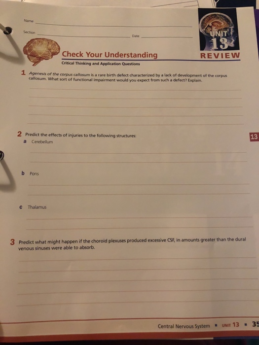 Solved Name Section Date Check Your Understanding Critical | Chegg.com