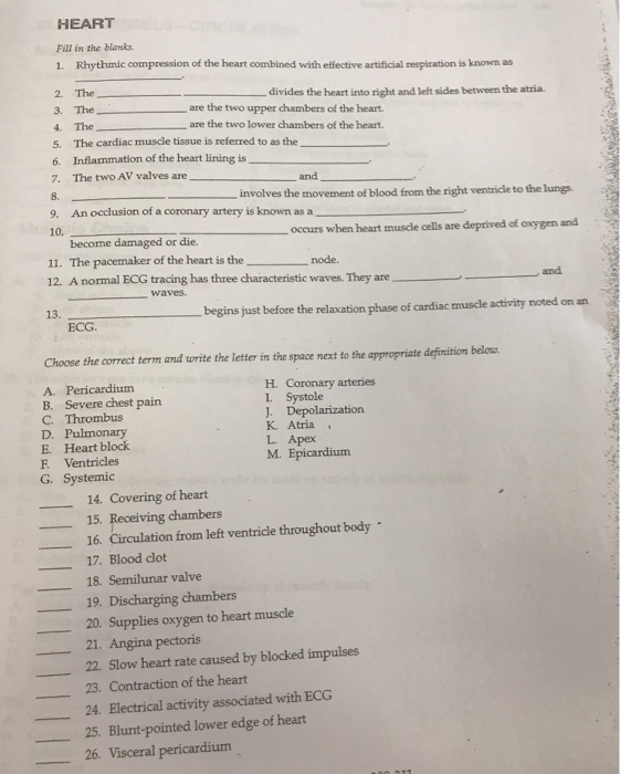 Solved HEART Fill in the blanks. Rhythmic compression of the | Chegg.com