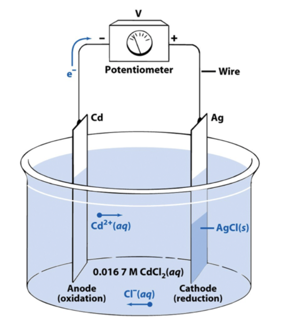 Solved For the galvanic cell shown below, use the Nernst | Chegg.com