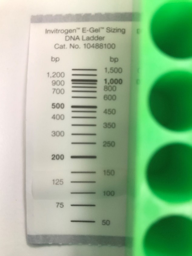 Solved Would you please check the ladder image and ladder | Chegg.com