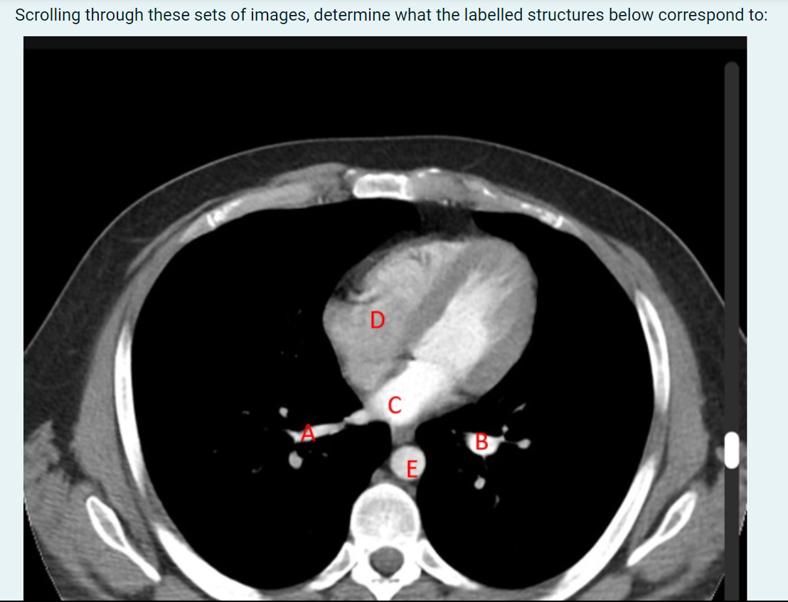 Solved Scrolling through these sets of images, determine | Chegg.com
