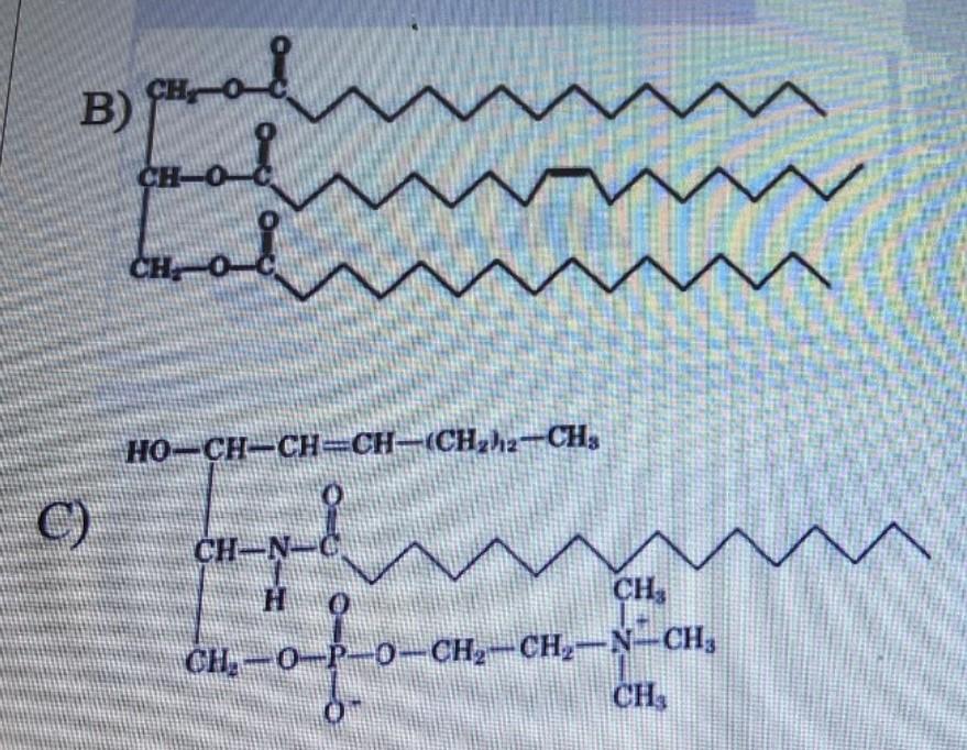 Solved HO-CH-CH=CH-Chahalls D) CHN GH OH CH-0 OHH ОН H OH | Chegg.com