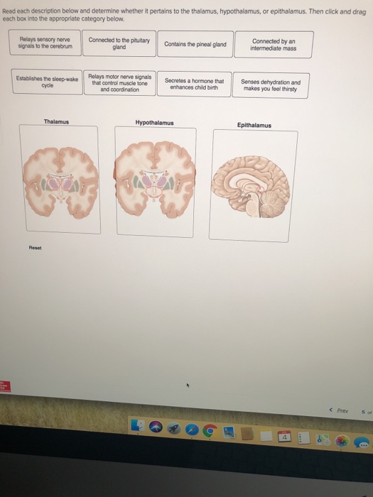 Solved Read each description below and determine whether it | Chegg.com