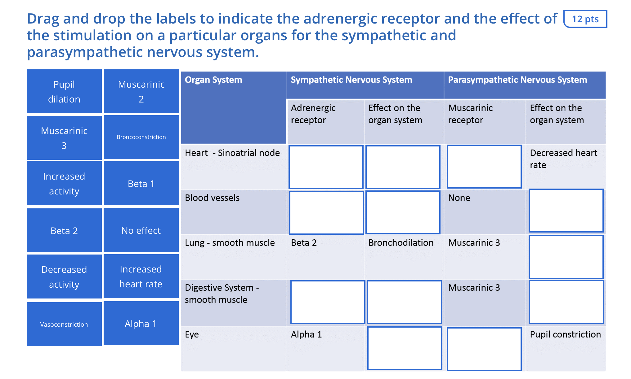 Solved Drag and drop the labels to indicate the adrenergic | Chegg.com