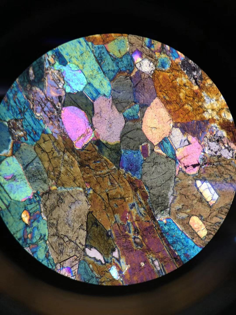 Solved Examine the different thin sections in the lab | Chegg.com