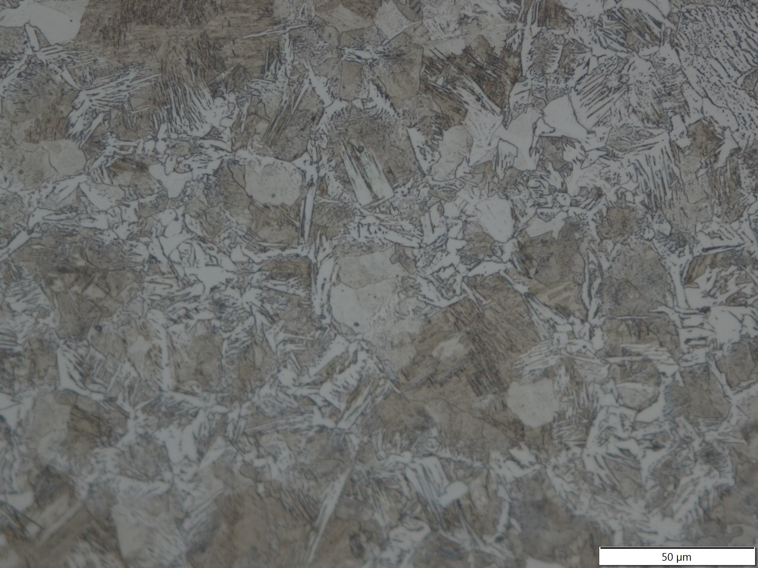 Solved 1. Discussion of the microstructures of Fe-C for the | Chegg.com