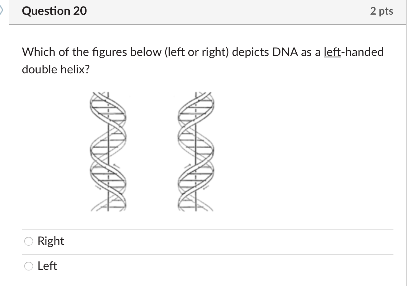 Solved Question 20 2 pts Which of the figures below (left or | Chegg.com