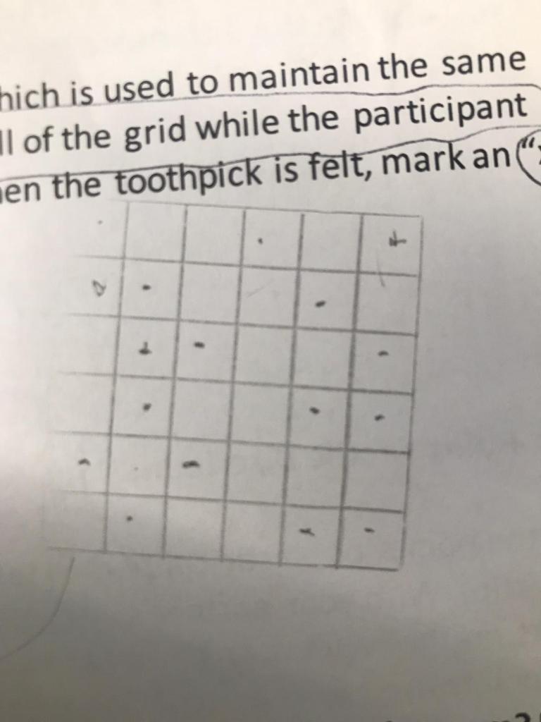 Grid showing the distribution of touch receptors: | Chegg.com