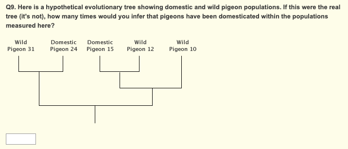 Solved Q9. Here is a hypothetical evolutionary tree showing | Chegg.com