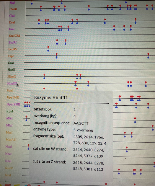 Solved Restriction Site Mapper = sequence length: | Chegg.com