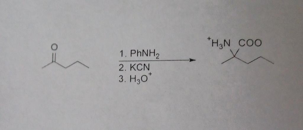Solved 1. PhNH2 3. H3O+ | Chegg.com