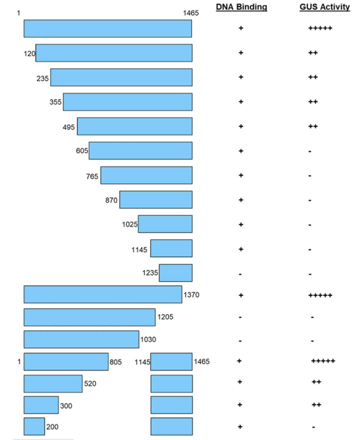 Solved After analyzing the upstream control region of the | Chegg.com