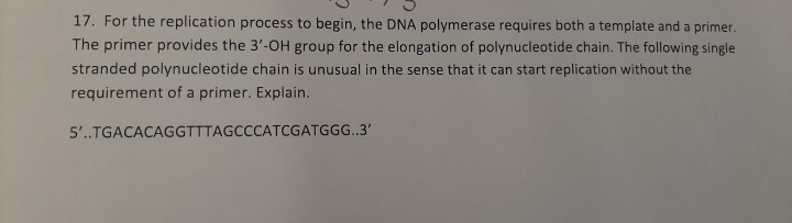 Solved 17. For the replication process to begin, the DNA | Chegg.com
