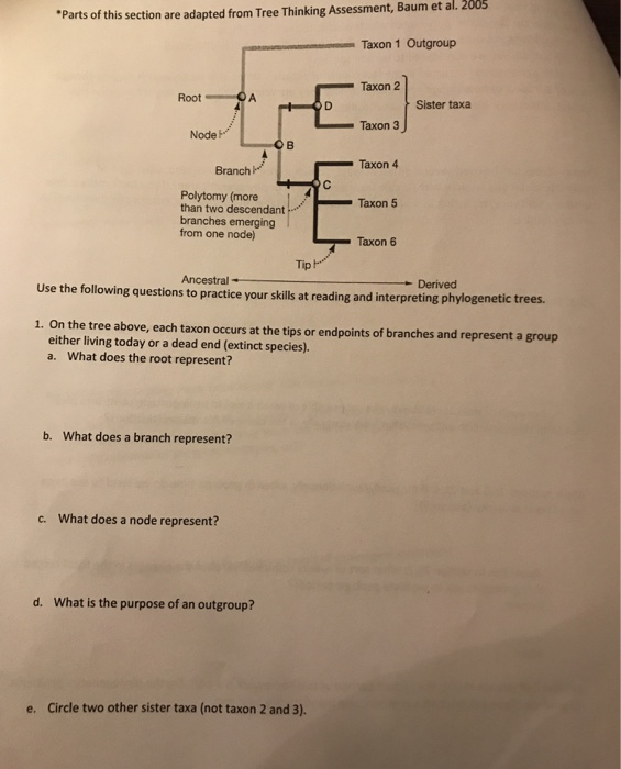 Solved Parts of this section are adapted from Tree Thinking | Chegg.com
