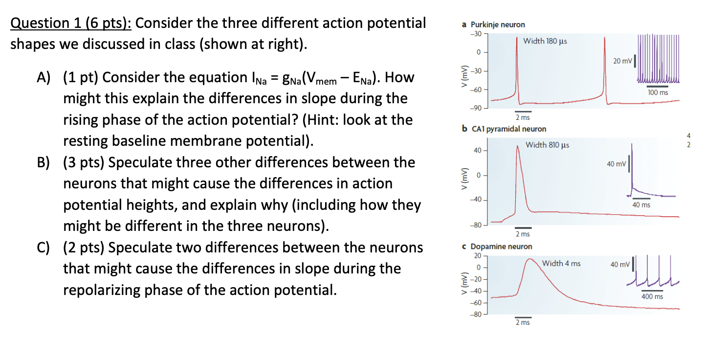 Solved Question 1 ( 6pts) : Consider the three different | Chegg.com