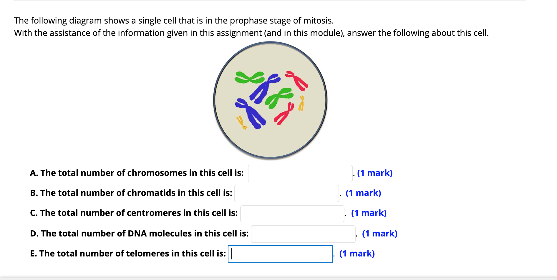 Draw The Diagram Of All Five Sub Stages Of Prophase 1 Of