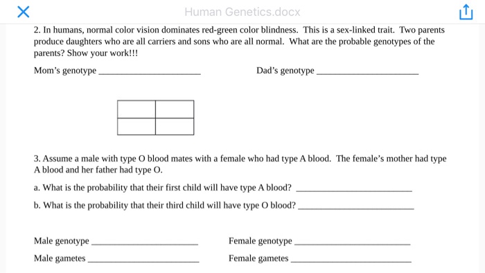 Solved Human Genetics.docx 2. In humans, normal color vision | Chegg.com