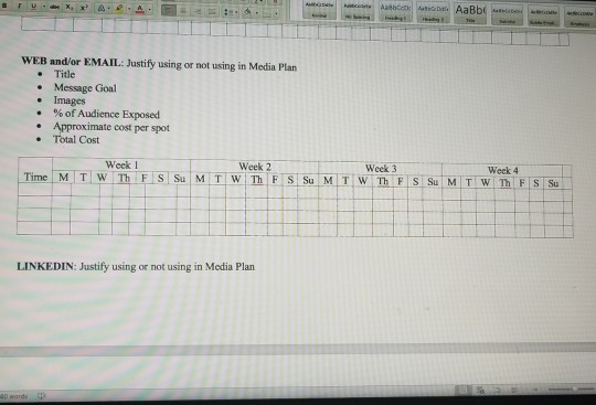 Marketing 420 Advertising Media Flight Plan | Chegg.com