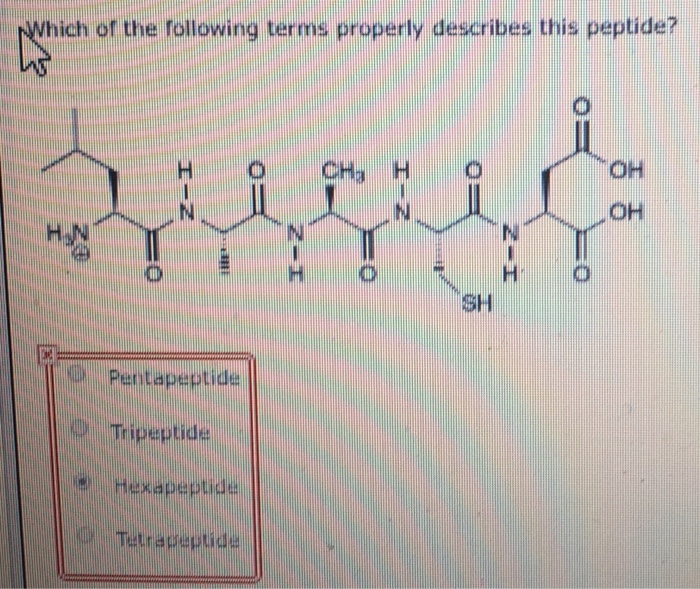 Solved hich of the following terms properly describes this | Chegg.com Solved hich of the following terms properly describes this | Chegg.com