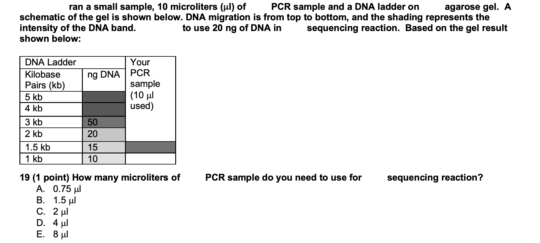 Solved ran a small sample, 10 microliters (ul) of PCR sample | Chegg.com