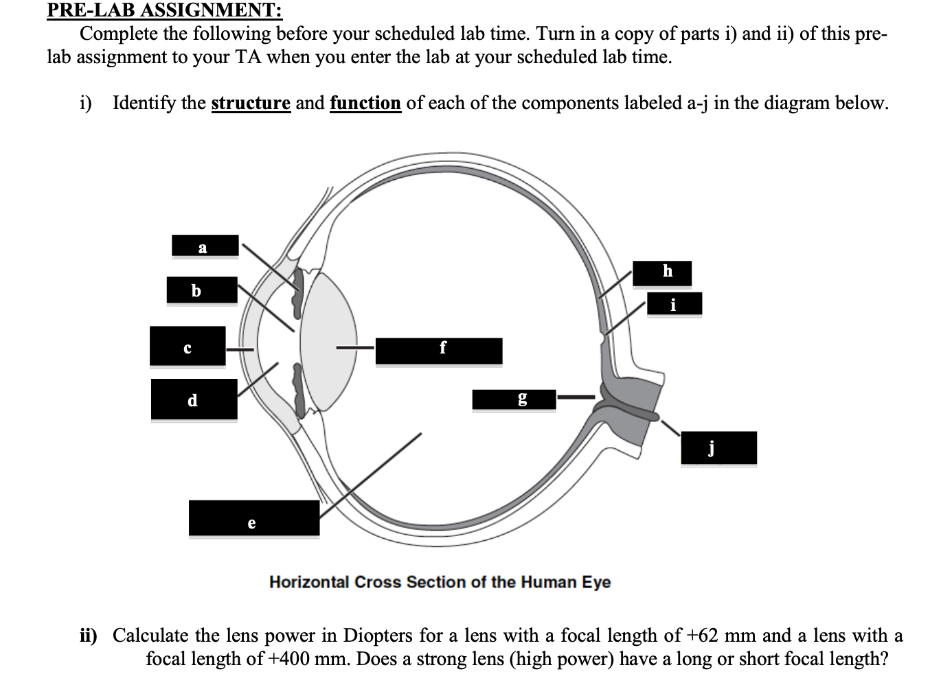 Solved PRE-LAB ASSIGNMENT: Complete the following before | Chegg.com