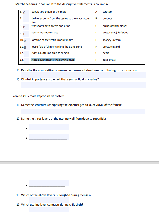 Solved Match the terms in column B to the descriptive | Chegg.com