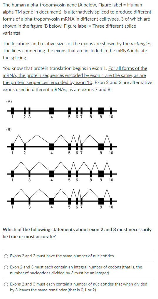 Solved The human alpha-tropomyosin gene (A below, Figure | Chegg.com