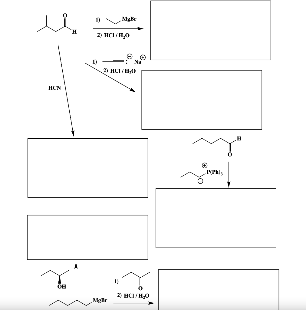 Solved 1) 2) HCl/H2O 1) 2) HCl/H2O | Chegg.com