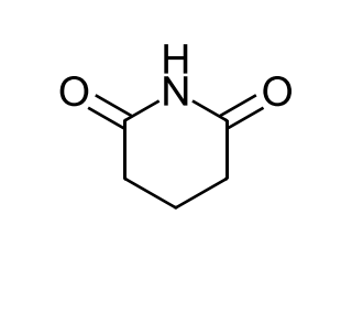 Solved g. He accidentally left imide “ring” structure | Chegg.com