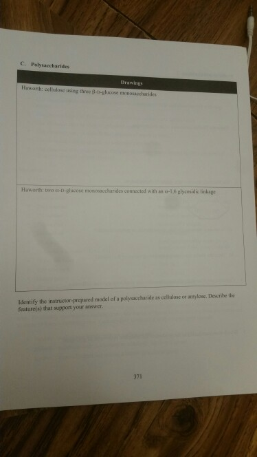 Solved C. Polysaccharides Haworth cellulose using the | Chegg.com Solved C. Polysaccharides Haworth cellulose using the | Chegg.com