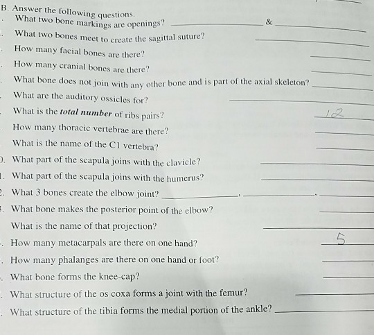 Solved B. Answer the following questions. • What two bone | Chegg.com