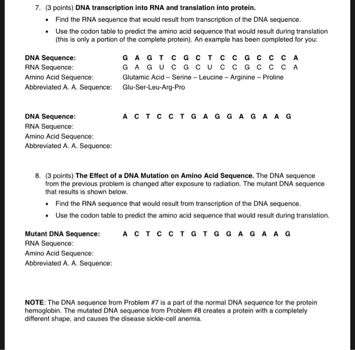 Solved 7. (3 points) DNA transcription into RNA and | Chegg.com