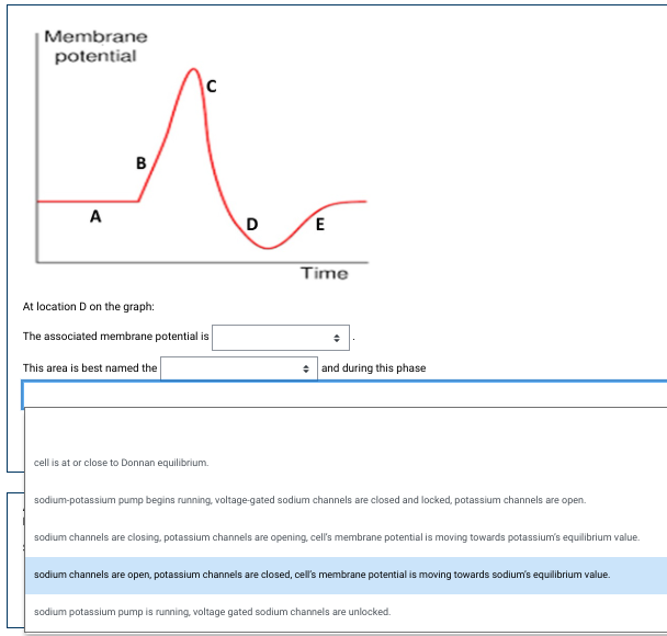 Membrane potential At location D on the | Chegg.com