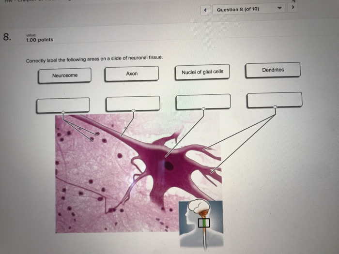 Drag Each Label To The Correct Location On The Image Identify The Parts