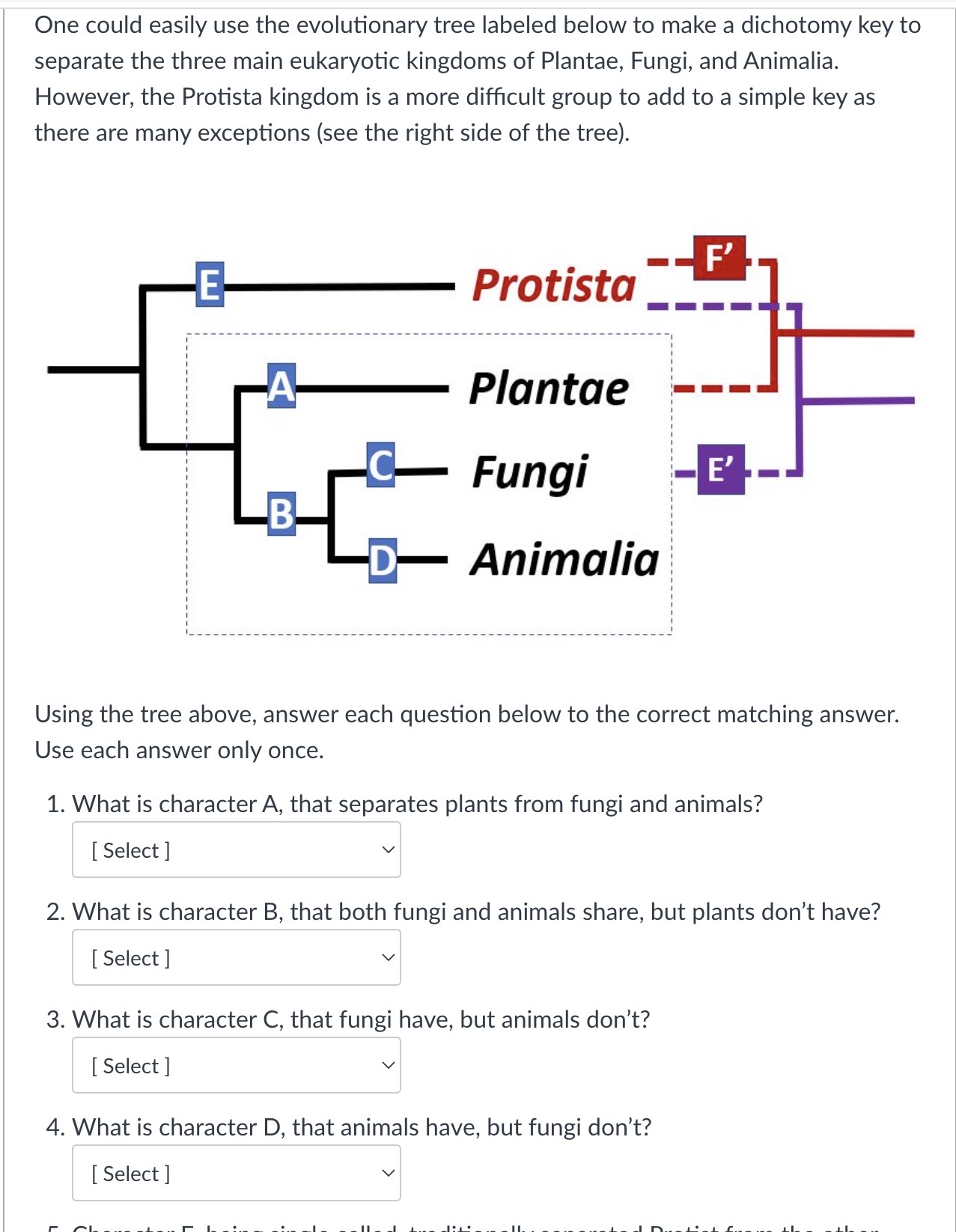 Protist Kingdom Tree