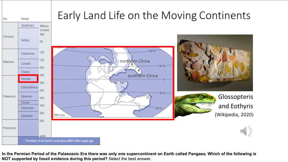 Solved Early Land Life on the Moving Continents Era Period | Chegg.com
