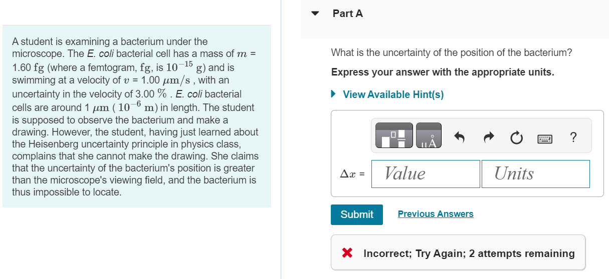 Solved A student is examining a bacterium under the | Chegg.com