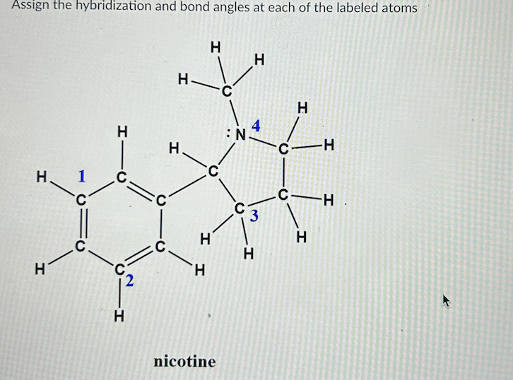 Solved Assign the hybridization and bond angles at each of | Chegg.com