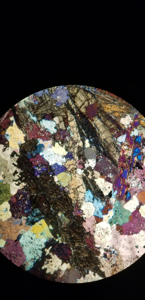 Solved 1. what is the prominent porphyroblastic phase and | Chegg.com