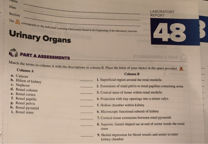 Solved ame Date Section The A corresponds LABORATORY REPORT | Chegg.com
