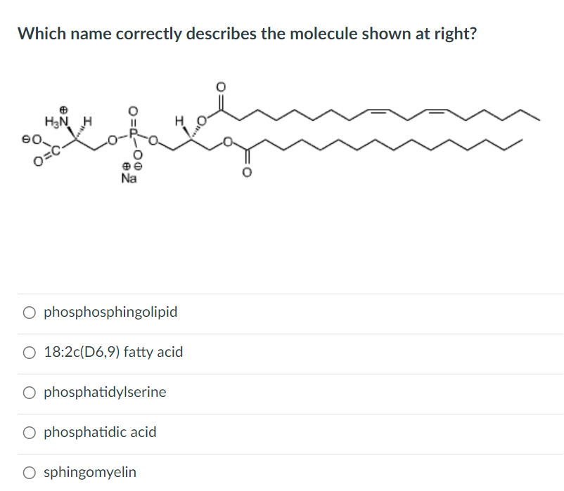 Solved Which name correctly describes the molecule shown at | Chegg.com