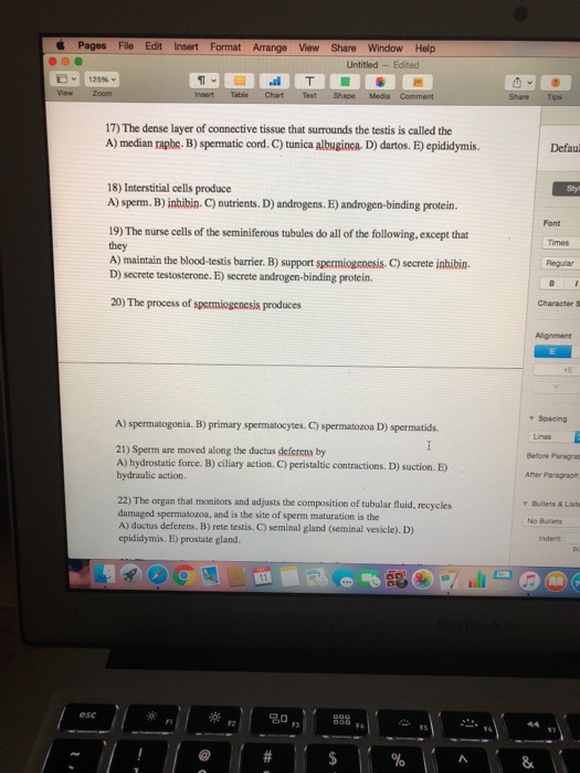 Solved Pages File Edit Insert Format Arrange View Share | Chegg.com