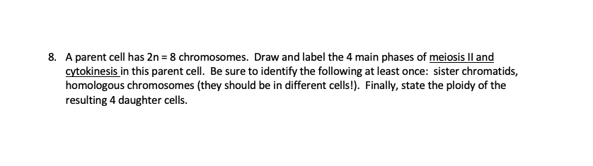 Solved 8. A parent cell has 2n = 8 chromosomes. Draw and | Chegg.com