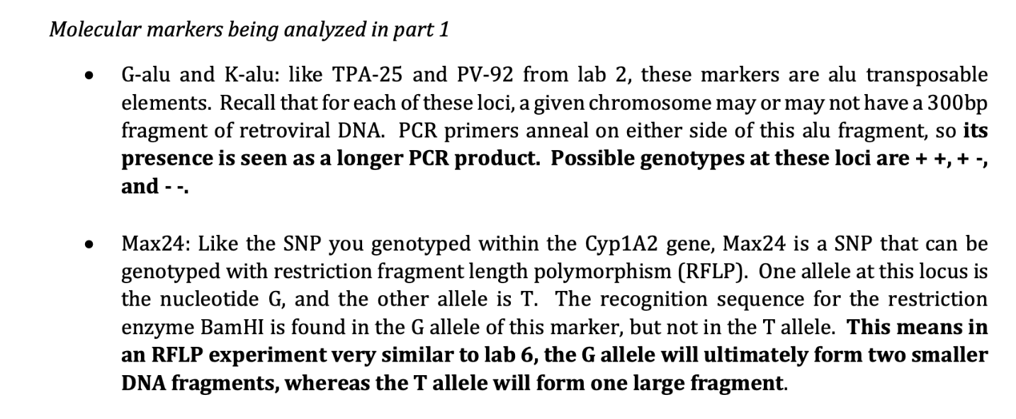 Solved How do I answer these questions? I don't know what to | Chegg.com