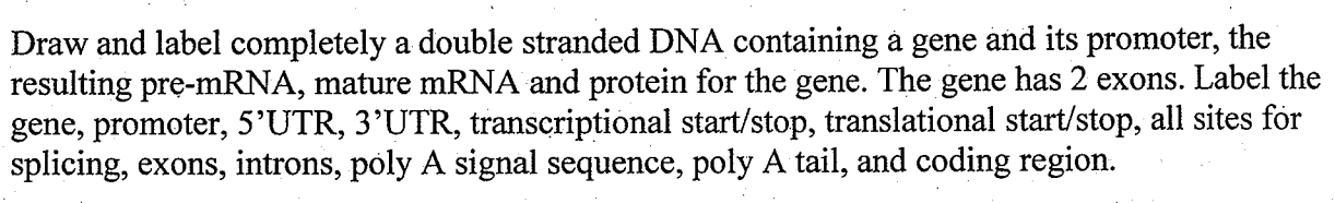Solved Draw and label completely a double stranded DNA | Chegg.com
