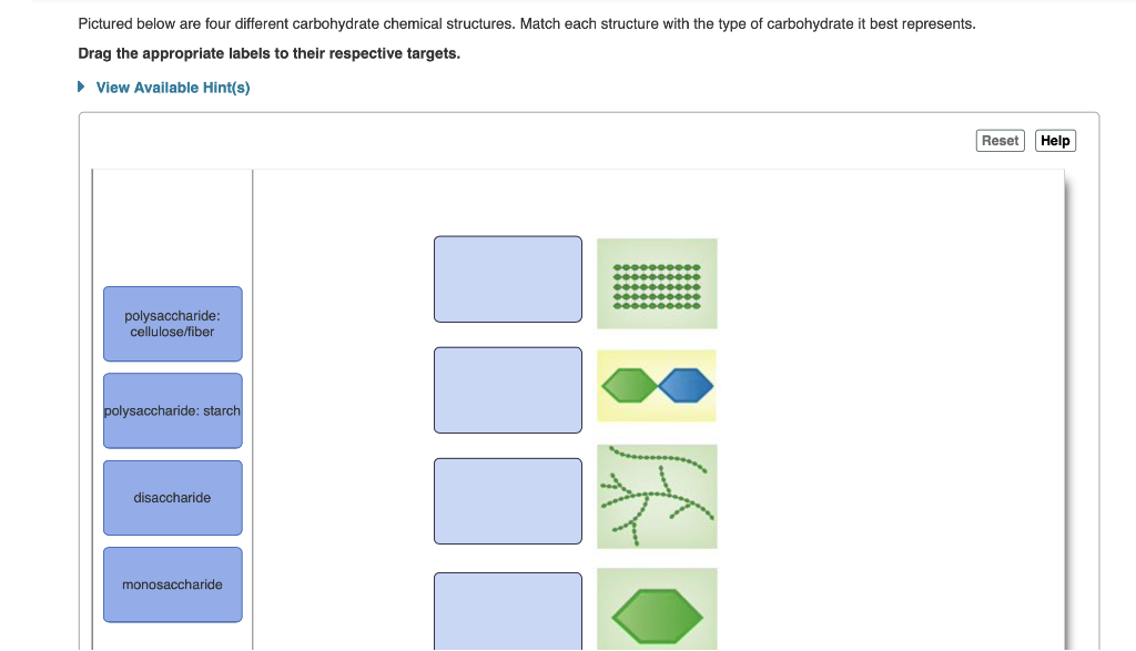 Solved Pictured below are four different carbohydrate | Chegg.com